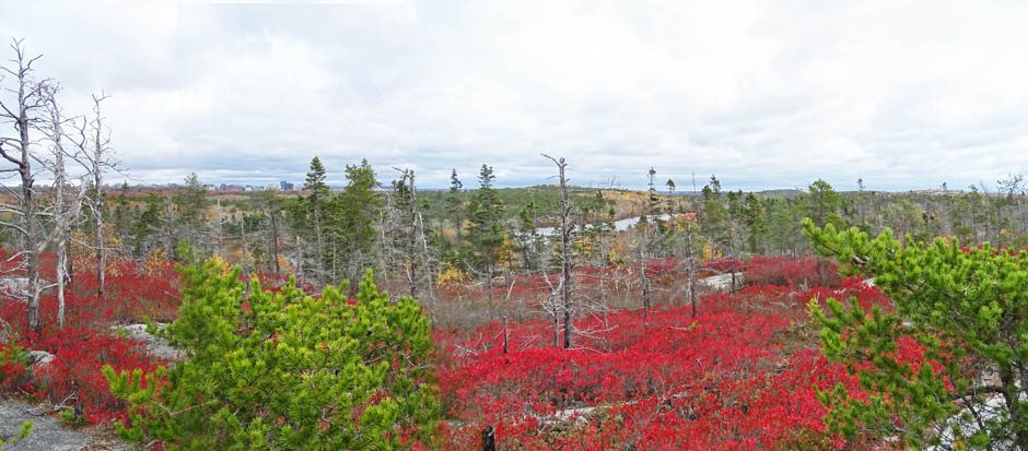 The Backlands | The Backlands Coalition